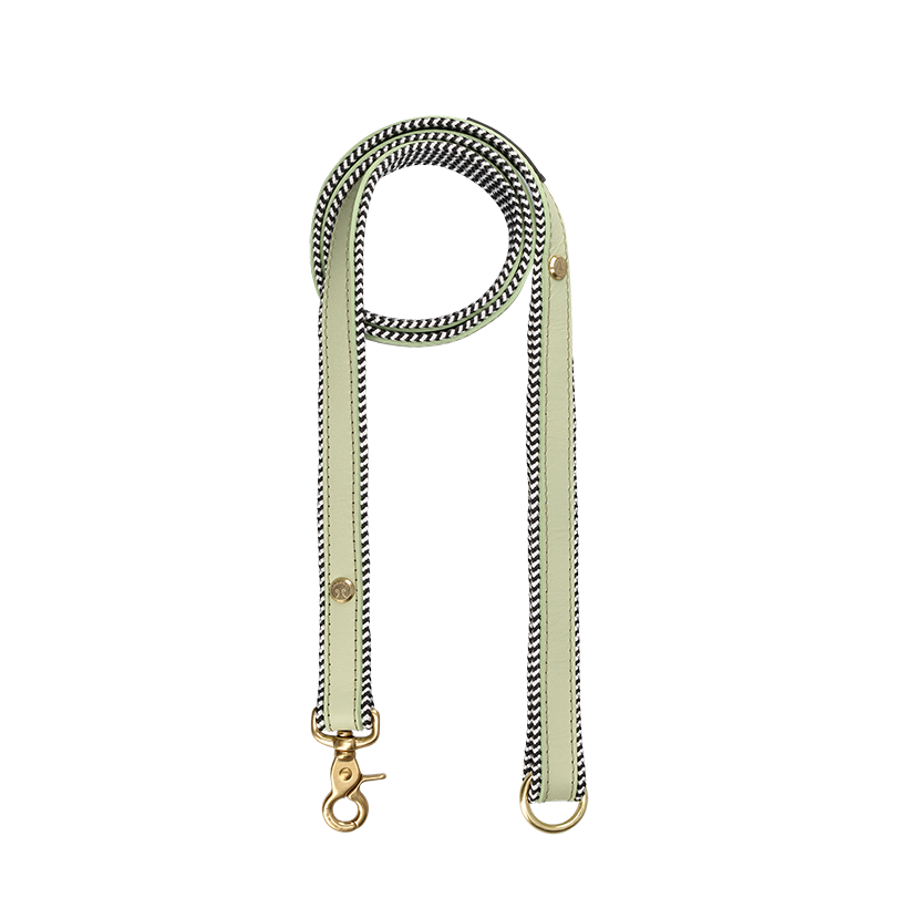 Chommies Everyday Leather Dog Leash | Buchu | Cape Town's Colourful Dog ...