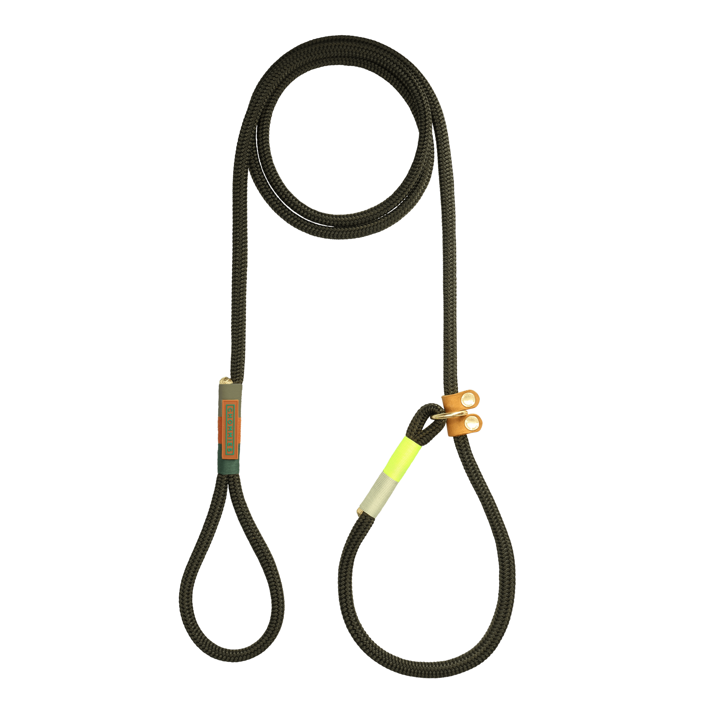 Around The Block Dog Leash | Popsicle