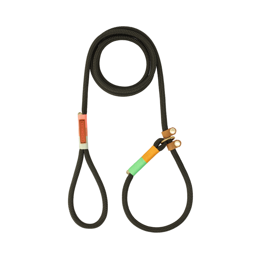 Chommies Slip-on Leash | Spring | Cape Town's Colourful Dog Company