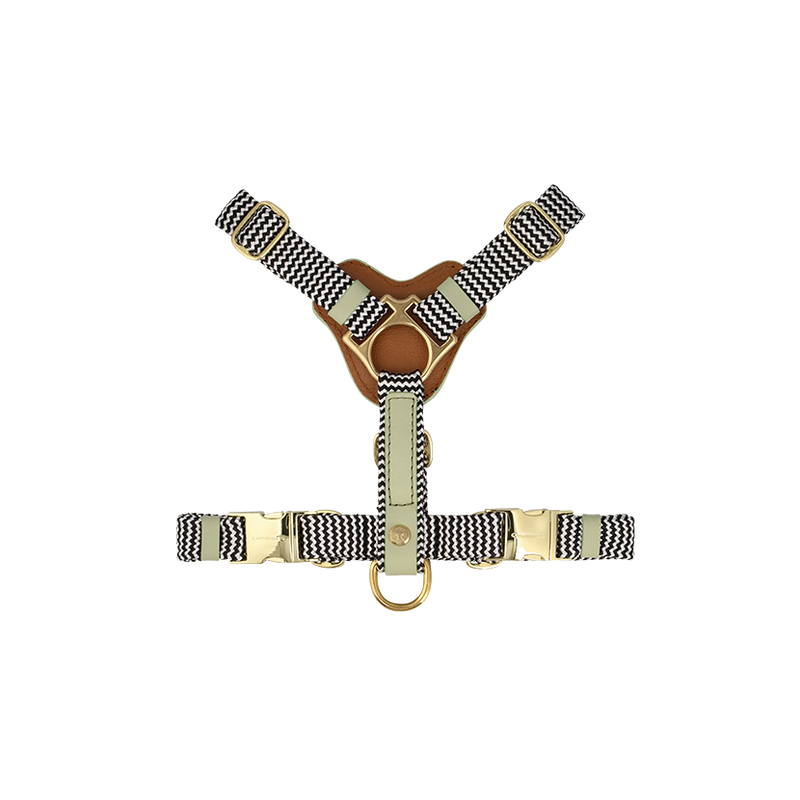 Chommies Adjustable Leather Dog Harness | Buchu | Cape Town's Colourful ...