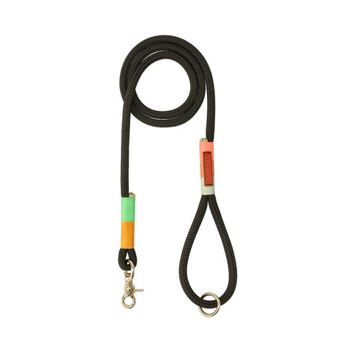 Chommies Everyday Dog Leash | Spring | Cape Town's Colourful Dog Company